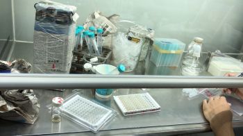 China Factory - REAGEN LLC