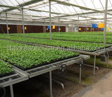 Quality Hydroponic System for Aquaponics in Multi-Span Agricultural Greenhouse for sale
