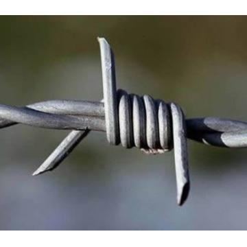Quality Hot sell high quality 14x14 16x14 galvanized barbed wire for sale