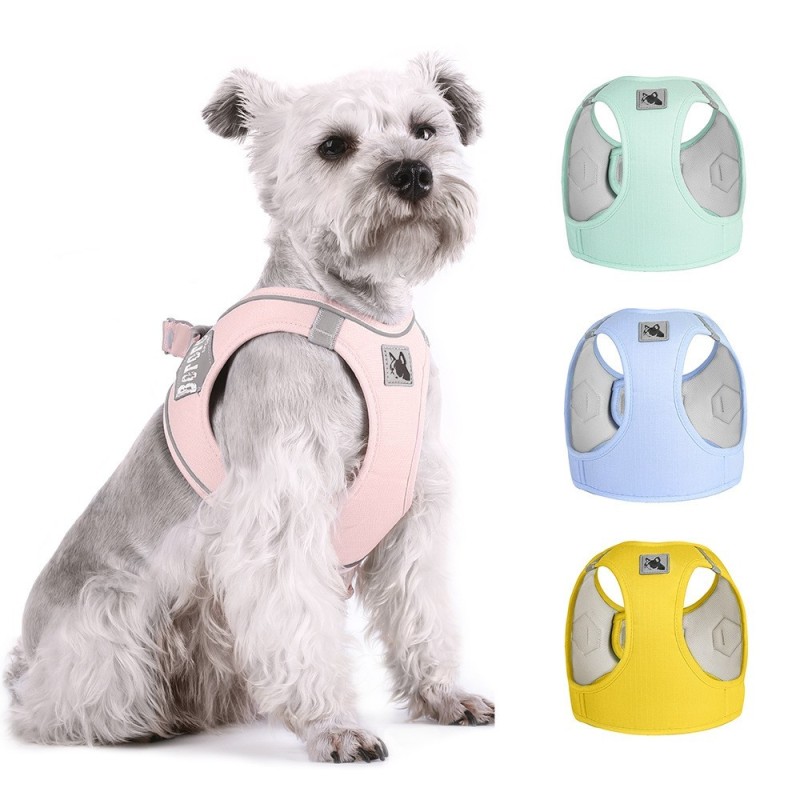 chewy cat harness