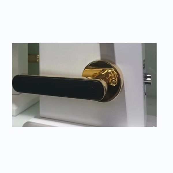 Quality High Security Residential Door Locks Electronic Entry Door Locks for sale