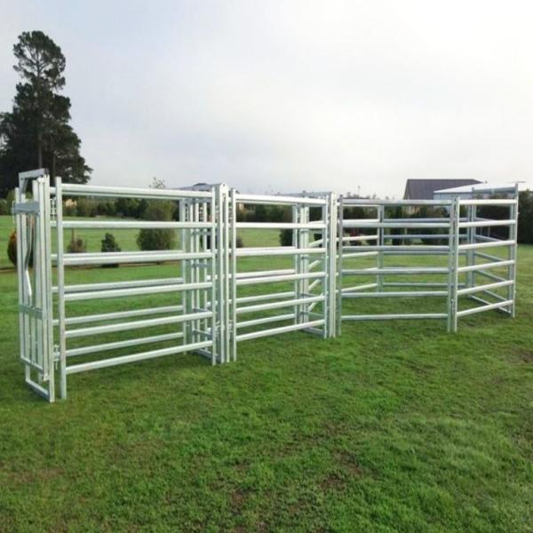 Quality 32mm O.D Hot Dipped Galvanized Steel Fence Panels Livestock Heavy Duty for sale