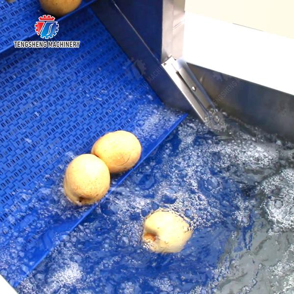 Quality Washing and juicing production line Fruit Orange Leaves Vegetables sward beans for sale
