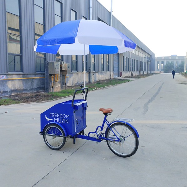 Quality 70kg Load Capacity Electric Pedal Three-Wheeled Bicycle Cart with Customized Service for sale