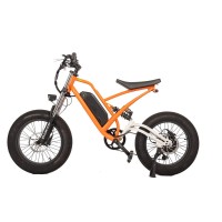 Quality 750W Off-Road Electric Fat Tire Bike with 48V 13Ah Lithium Battery and 180kg for sale