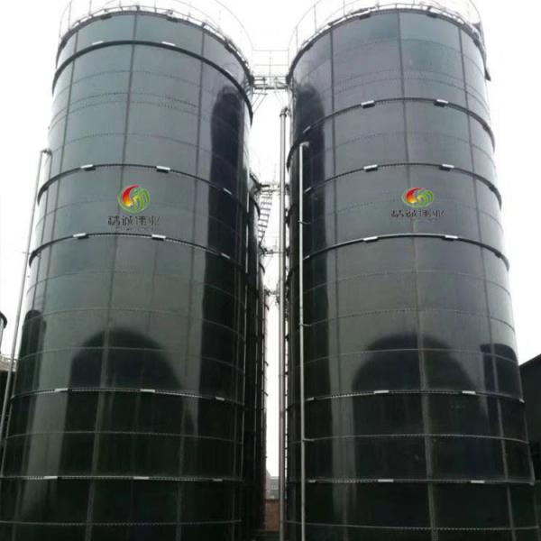 Quality Biogas Anaerobic Digester Tank CSTR Sludge Digester In Wastewater Treatment for sale