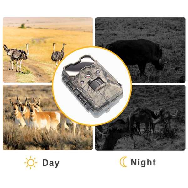 Quality Motion Activated Wildlife Camera for sale