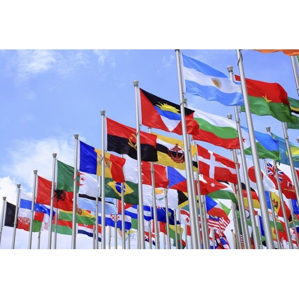 Quality YaoYang 150cmx90cm Polyester World Flags Custom Country Flags for sale