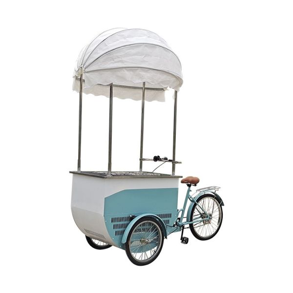 Quality Ice Cream Bike Freezer Mobile Food Bike for Shop Fried Chicken Hamburger Pizza BBQ for sale