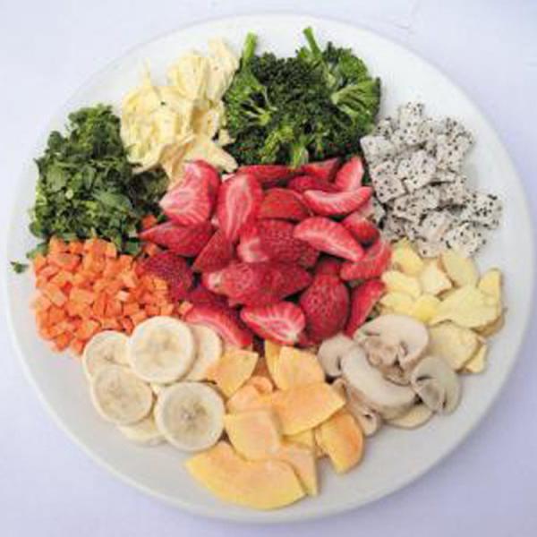 Quality Instant Food Vegetable Rice Drying Machine Large Automatic Freeze Dry Vacuum for sale