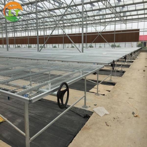 Quality American Tomato Agriculture Polycarbonate Greenhouse Equipped with Hydroponic for sale