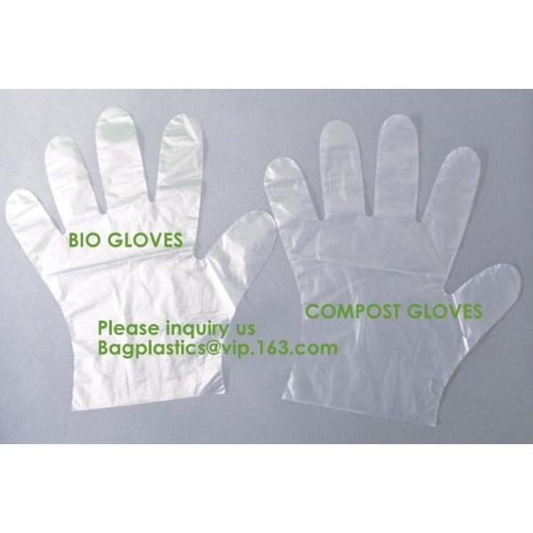 Quality 100% compostable apron, blend with PBAT+PLA+CORN STARCH, APRONS,gallon for sale
