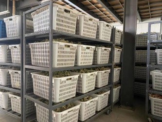 China Factory - QC Disposable Cutlery