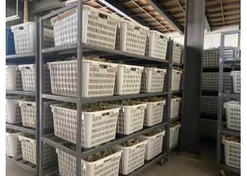 China Factory - QC Disposable Cutlery