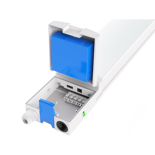 Quality D4 LED Moisture-proof Light with Ready for Emergency and Motion Sensor 3-phase for sale