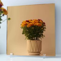 Quality Custom Size Mirror Panels Red Back Paint Coloured Mirror Glass For Bathroom for sale