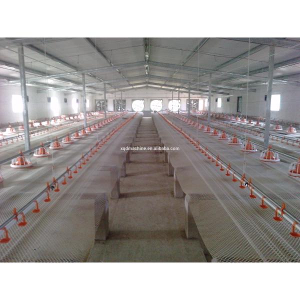 Automatic broiler layer bucket manual poultry feeder for chicken turbo bucket day old baby chick bucket