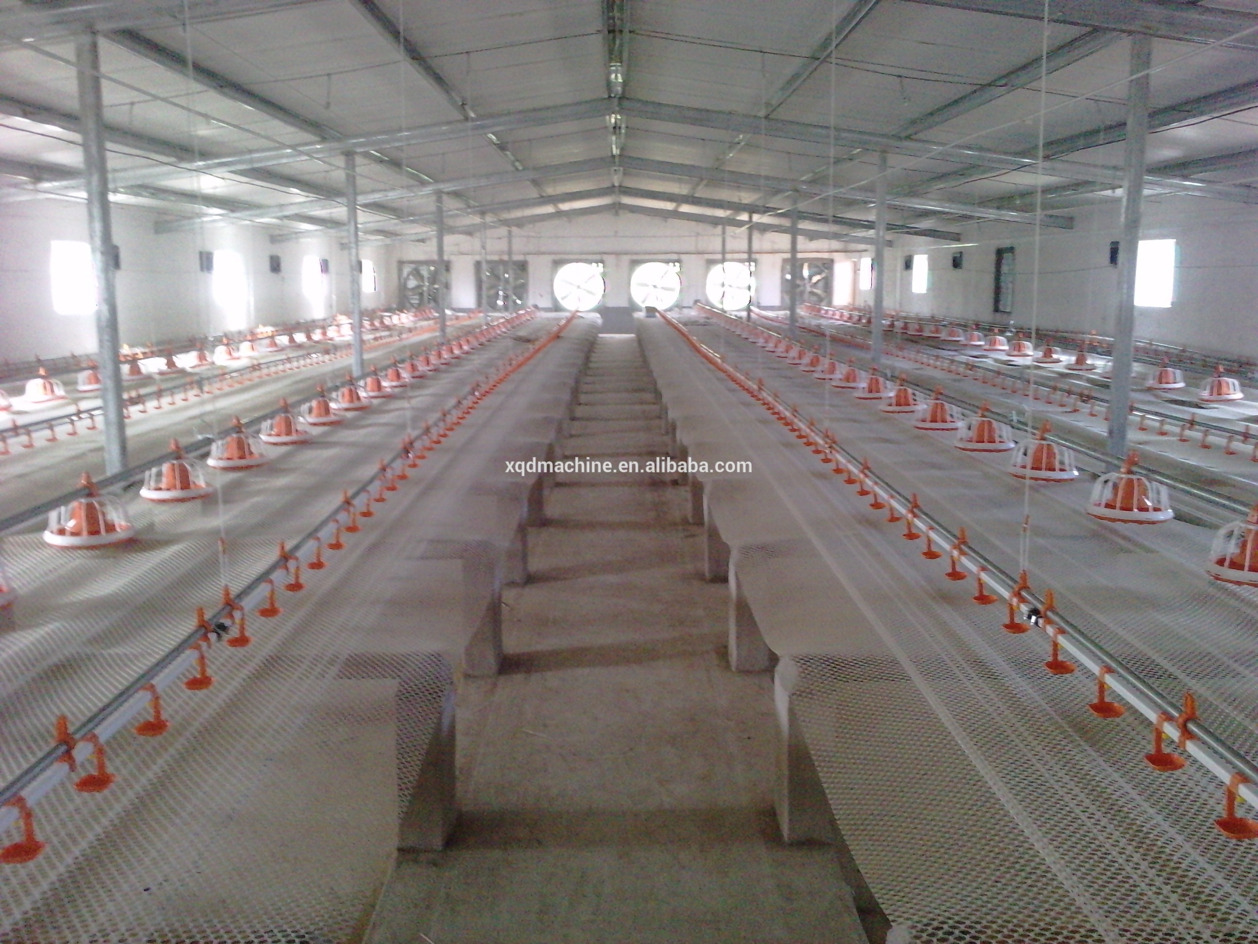 Automatic broiler layer bucket manual poultry feeder for chicken turbo bucket day old baby chick bucket