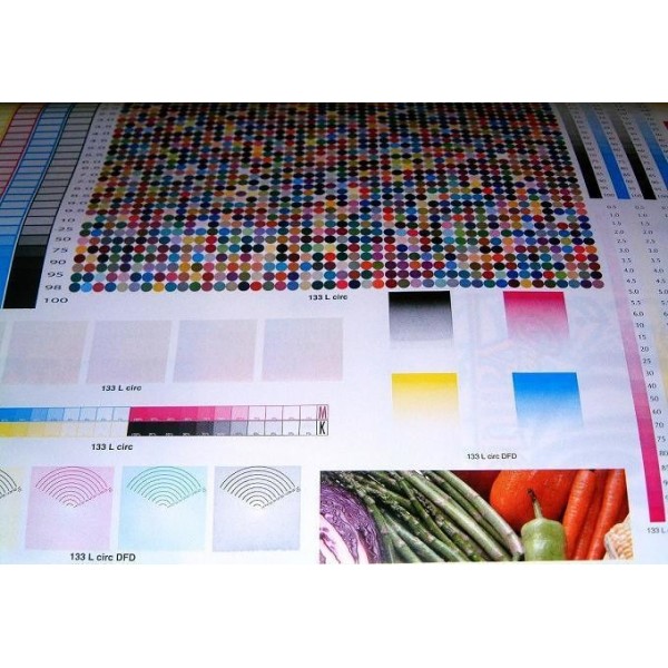Quality Single Faced Printing Unit Type 6 Colors Flexographic Machine for Paper Plate for sale