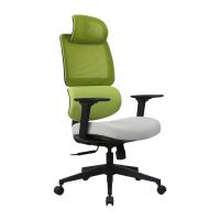 China Molded Foam Mesh Executive Chairs Ergonomic Mesh Executive Office Chair factory