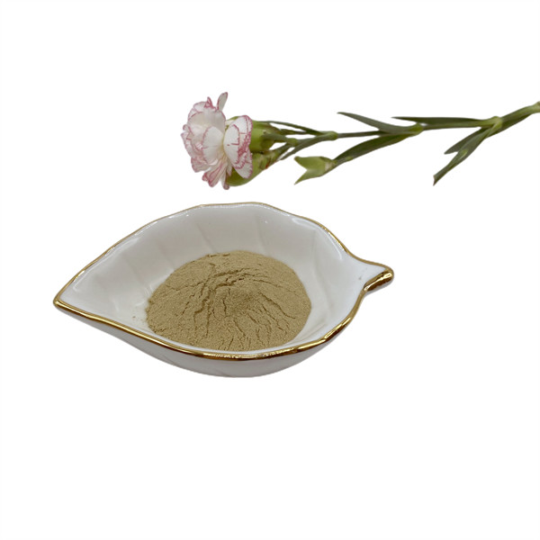 Quality 100% Water Soluble Amino Acids 50% Soil Conditioner Fertilizers for sale