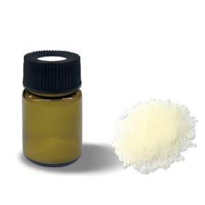 Quality 0.5g/0.5ml Dental Bone Graft Substitute for sale