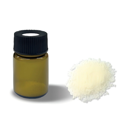 Quality Osteoinductive Scaffold Material Bone Graft Substitutes In Orthopaedic Surgery for sale