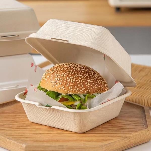 Quality Virgin 21g Disposable Hamburger Clamshell Box Sugarcane Bagasse Takeaway Boxes for sale