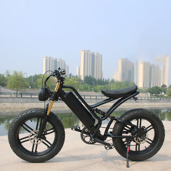 Quality 60V Rear Wheal Disc Brake 48v 1000w E-Bike Electric Cycle Road Dirt Fat Tire E Bike Fast Ebike Electric Mountain Bike for sale
