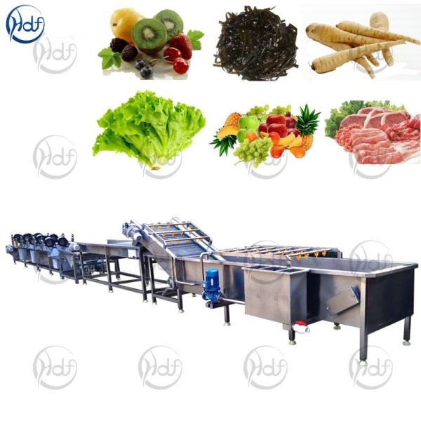 Quality SUS304 Electric Vegetable Washer Vegetable Air Bubble Washing Machine Vegetables for sale