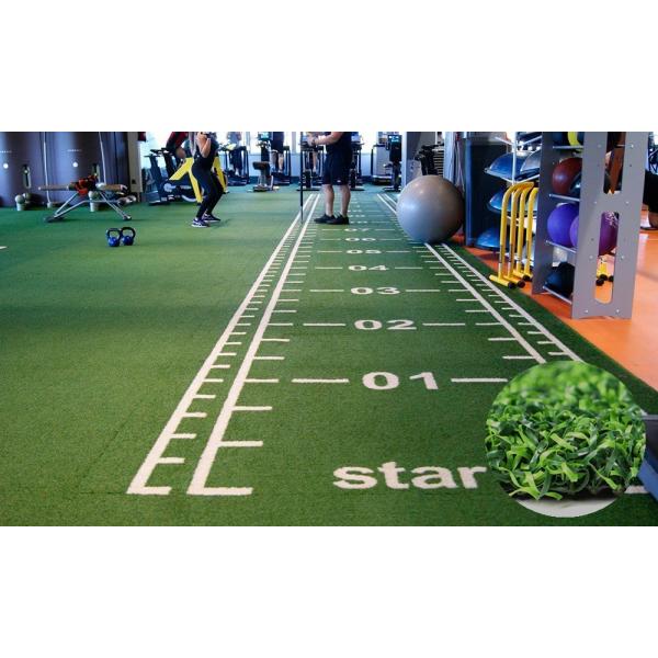 Quality High Density 63000 Stitches/m2 Customized Gym Grass for Sports Floor and Sled for sale
