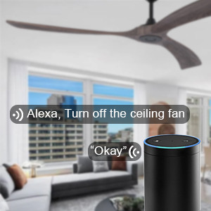 Quality Quiet Energy Saving 6 Speed Smart Ceiling Fan with Light Controlled by Alexa for sale