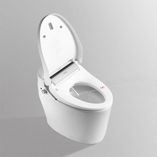 Quality ARROW Smart Toilet Seat 660x400x520mm Water And Air Dry Functional for sale