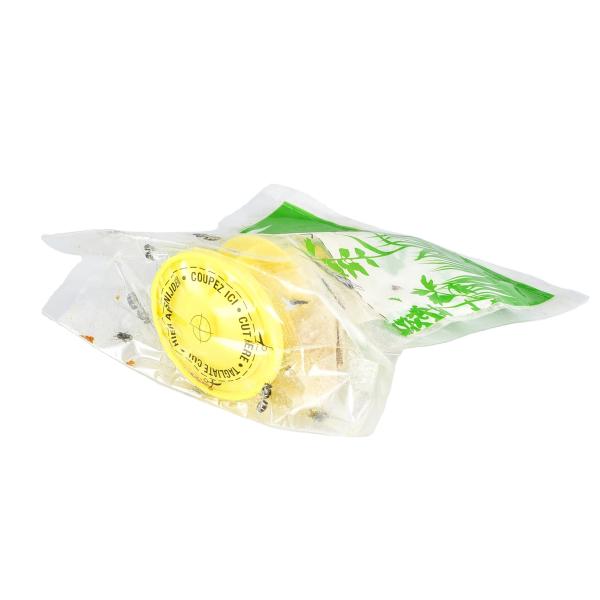 Quality Insect Control Plastic Flying Catcher Trap Bag for Safe and Eco-Friendly Pest for sale