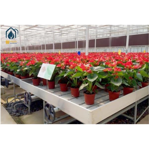 Quality Custom Size Ebb And Flow Table Hydroponic Greenhouse Seedling Trays 4x8 ft for sale