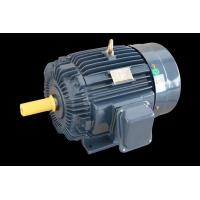 China Industrial Three-Phase Induction Motor IP55 Protection F Level factory