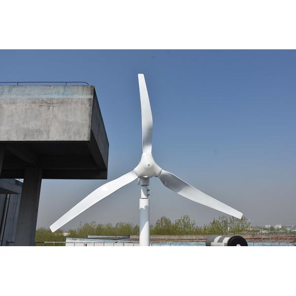 Quality Three Phase Small Horizontal Wind Turbine 24 Volt 48 Volt 800W Horizontal Wind for sale