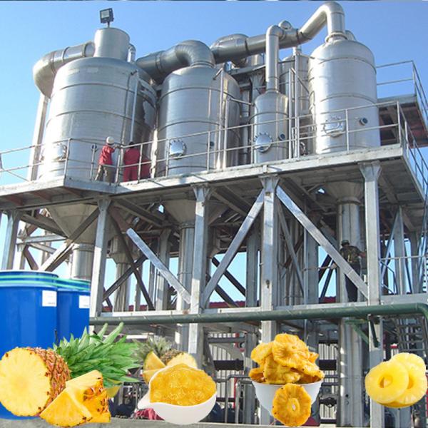 Quality PLC Controlled Aseptic Bag Pineapple Processing Line 20T/H 440V for sale
