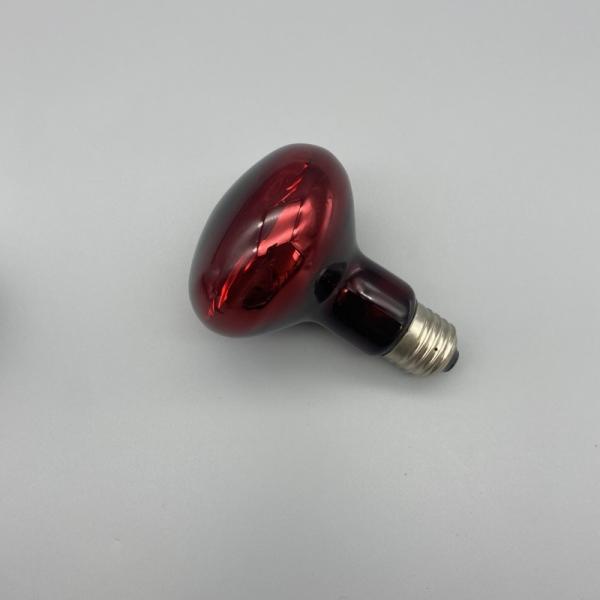 Quality Red Terrarium Heat Lamp Bulb R63 For Brooder 75 Watt Uvb Bulb for sale