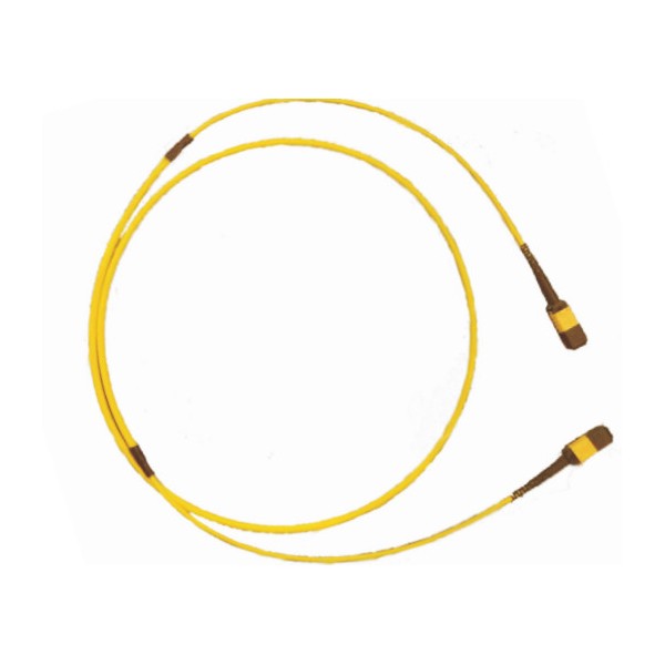 Quality Single Mode Fiber Optic MPO 24 Fiber MPO Connectors 100Gbps Protocols for sale