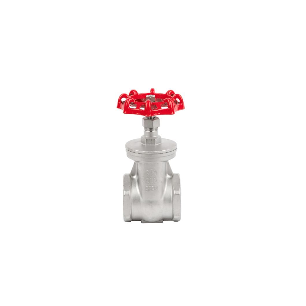 Cast Stainless Steelscrewed End Gate Valve, 200psi, Precision Casting, BSPT/Bsp/NPT