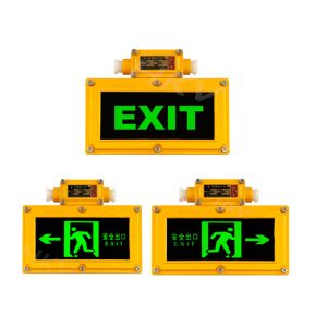 Quality Explosion Proof Emergency Light for sale