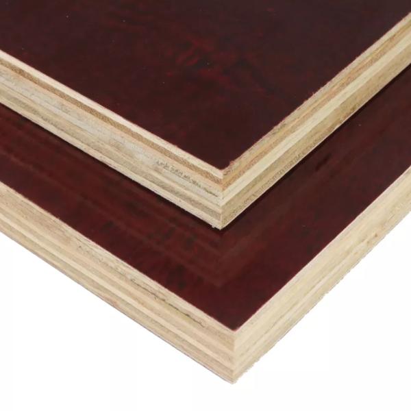 Quality Commercial 18mm Structural Plywood Sheets Eucalyptus Pine Plywood Sheets for sale