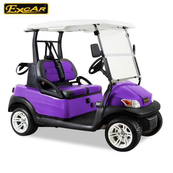 Quality Purple And Black 2 Passenger Electric Car 48V With 1 Year Warranty for sale