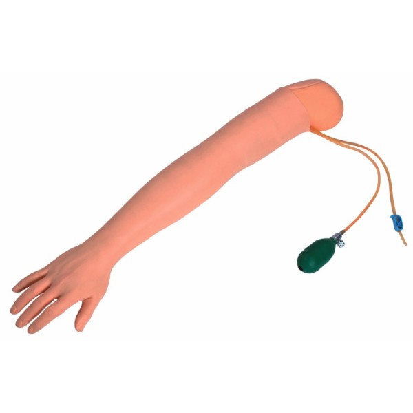 Quality Artery Puncture Arm With Infusible Aeteries Designed For School Student Training for sale
