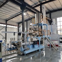 Quality High Capacity Dry Pet Food Production Line Stainless Steel With Two Screw 200kw for sale