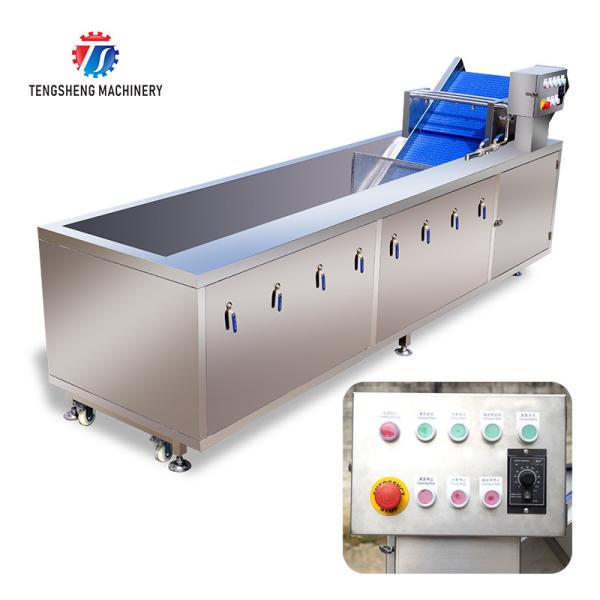 Quality 240KG 380V Automatic stainless steel fruit washing machine fruit cleaning equipment for sale