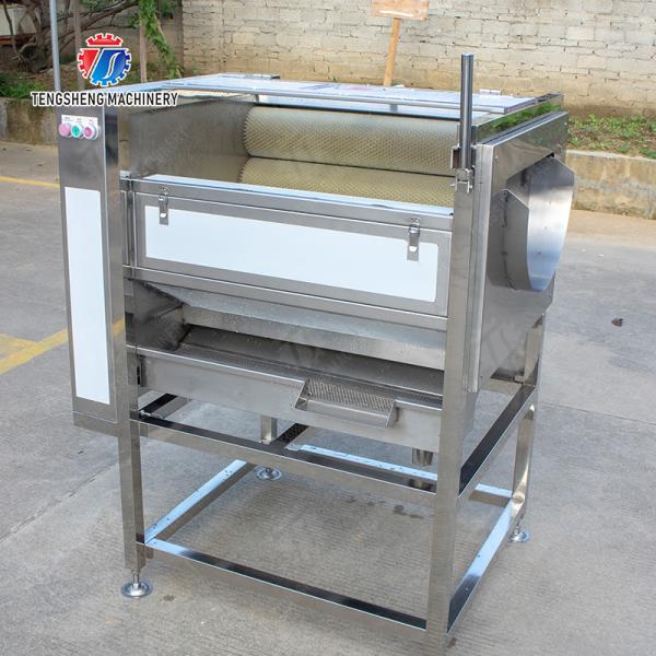 Quality Citrus cleaning production line Fruit Orange Wash Washer Washing Cleaning Dryer for sale