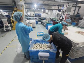 China Factory - Hangzhou Jianjia Household Supplies Co.,Ltd.