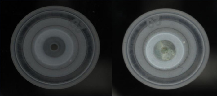 Eye Drop Plug Defect AOI Inspection System Provided Remote After - Sale ...